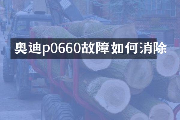 奥迪p0660故障如何消除_奥迪-汽车品牌-车知识